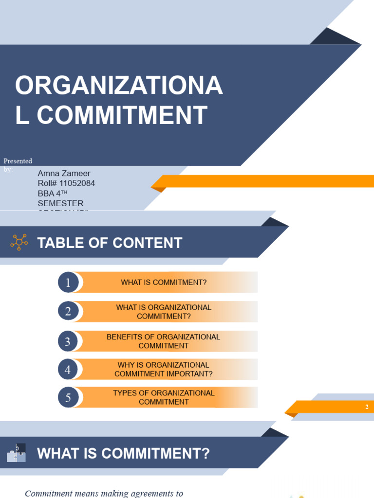 Amna Zameer-B-Organizational Commitment | PDF | Employment | Goal
