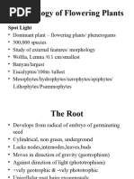Morphology of Flowering Plants Notes | PDF