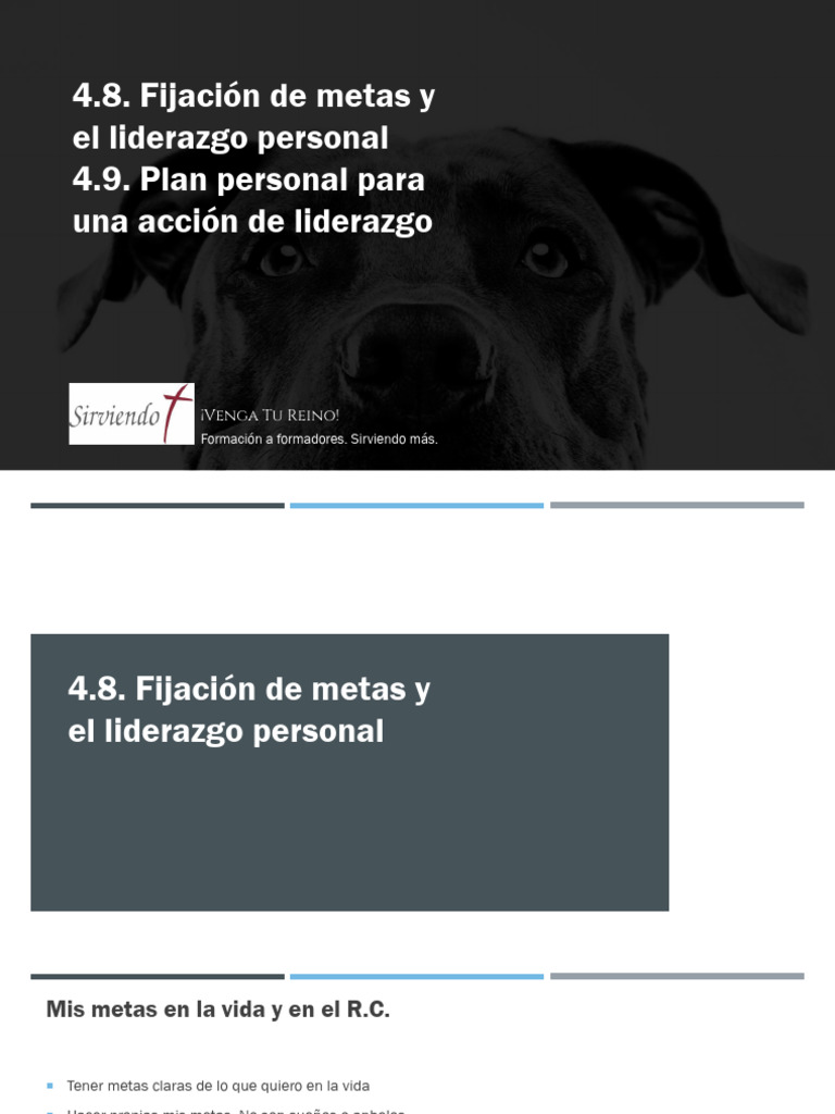 Tema 4 8 Fijacion de Metas y El Liderazgo Personal | PDF | Liderazgo ...