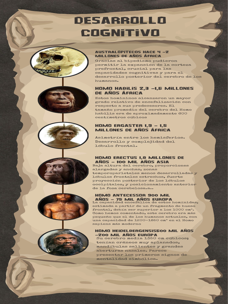 InfografÃ A CronolÃ Gica LÃ Nea de Tiempo Historia Vintage Sencilla ...