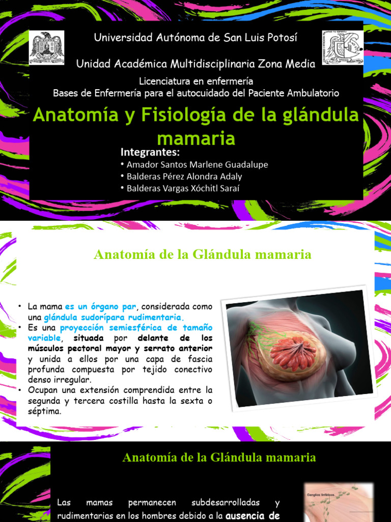 Anatomia y Fisiologia de La Glandula Mamaria | PDF | Pecho | Piel