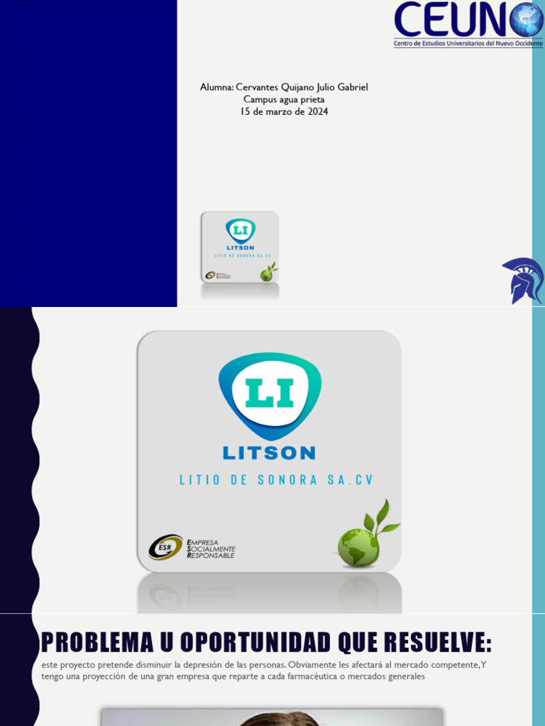 Empresa Litson | PDF | Depresión (estado de ánimo) | Suicidio