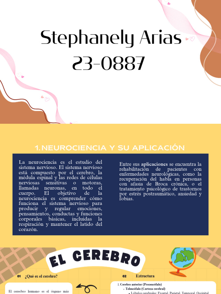 El Cerebro, Sus Partes y Funciones | PDF | Cerebro | Corteza cerebral