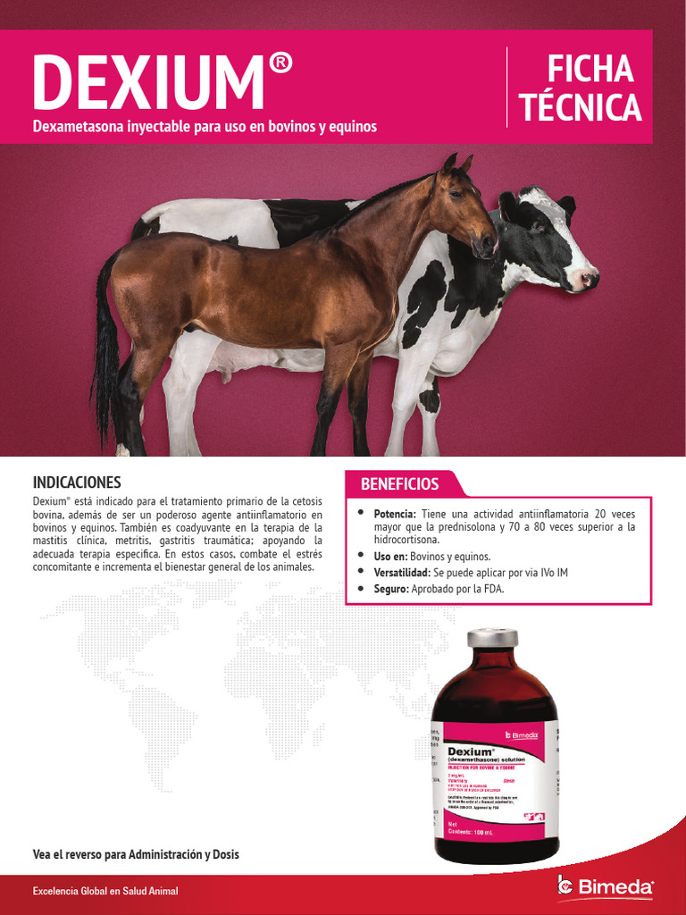 Dexium DataSheet MX | PDF | Corticosteroides | Antiinflamatorio