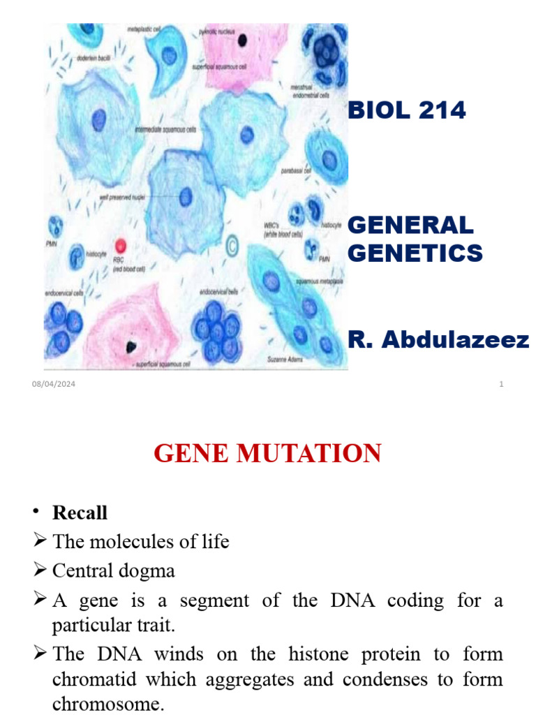 Understanding Gene Mutations and Their Types | PDF | Ploidy | Radiation