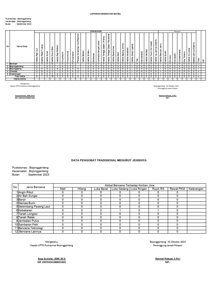 Laporan Kestrad 2024 | PDF