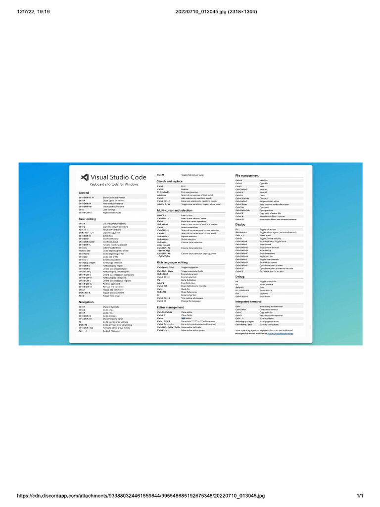 VSC Mataburros | PDF