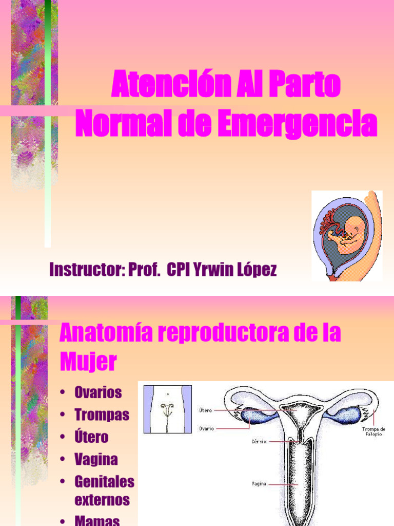 Atención Al Parto Normal | PDF | Parto | Sistema reproductivo