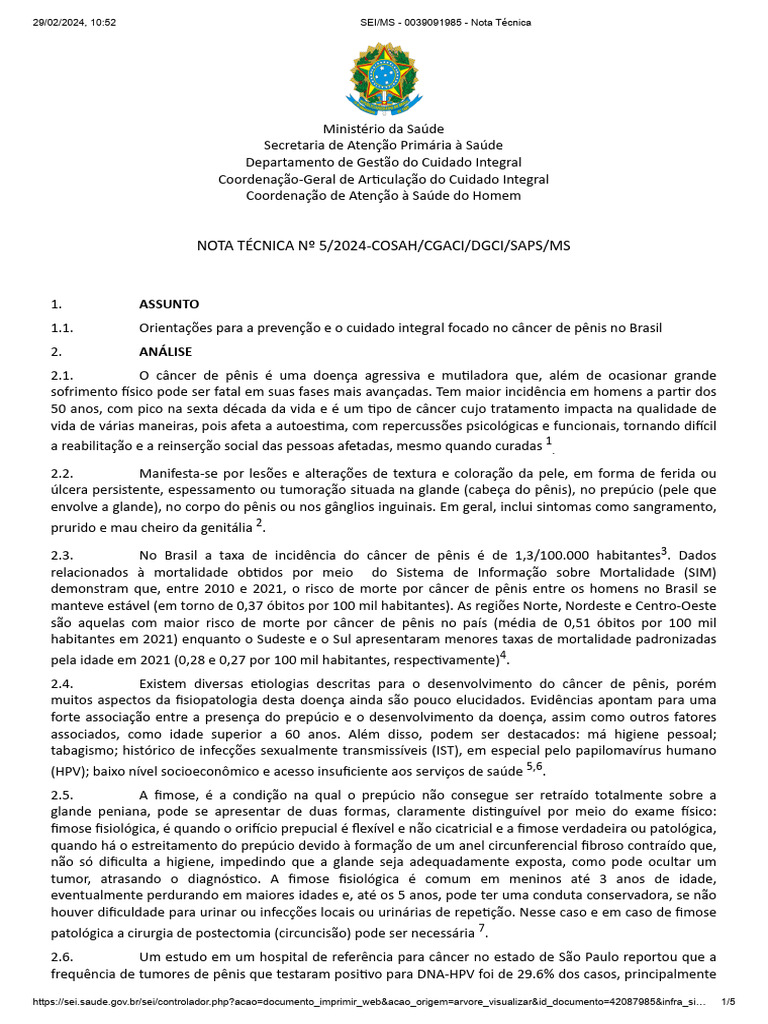 Nota Técnica Nº 5.2024-COSAH-CGACI-SAPS-MS | PDF | Câncer | Circuncisão