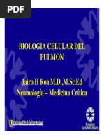 Neumocitos: Tipos y Funciones | PDF | Pulmón | Biología Celular