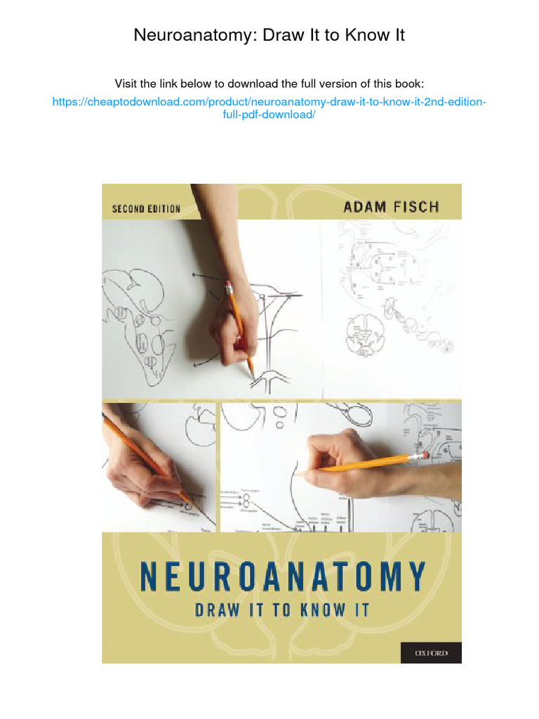 Neuroanatomy: Draw It To Know It. | PDF | Brainstem | Spinal Cord