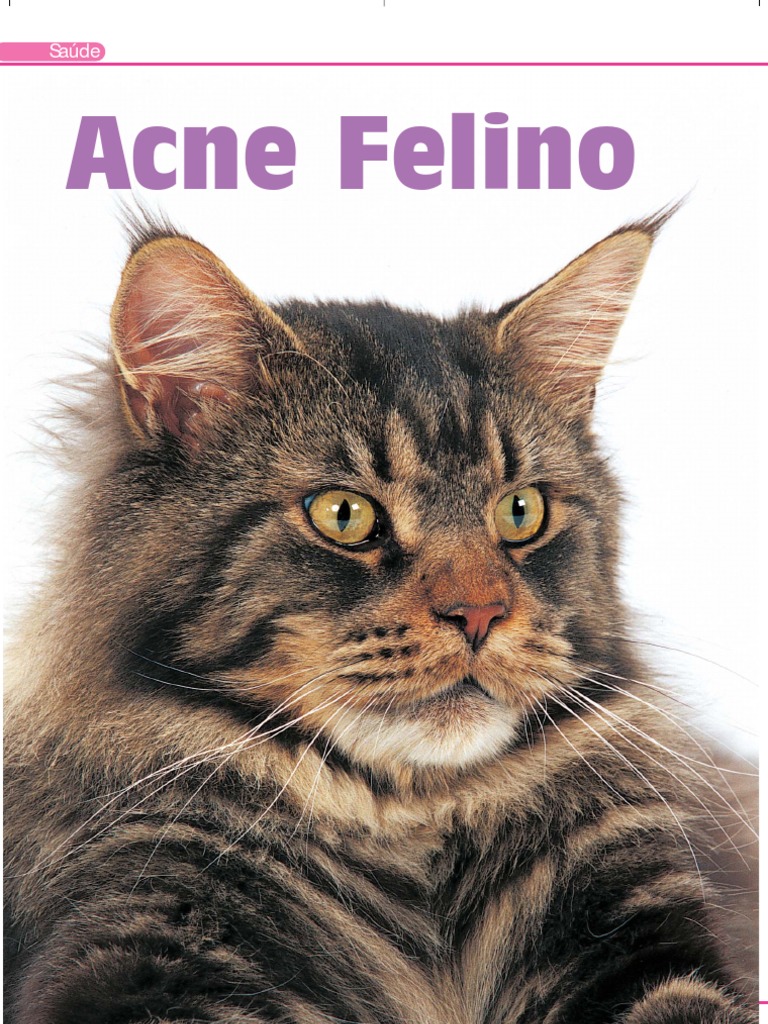 Tratamento do Acne Felino | PDF | Acne vulgar | Gatos