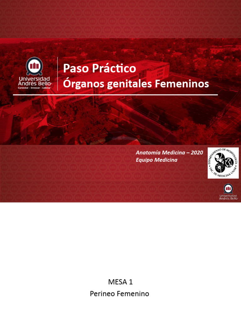Paso Práctico Digitalizado Órganos Genitales Femeninos HECHO | PDF ...