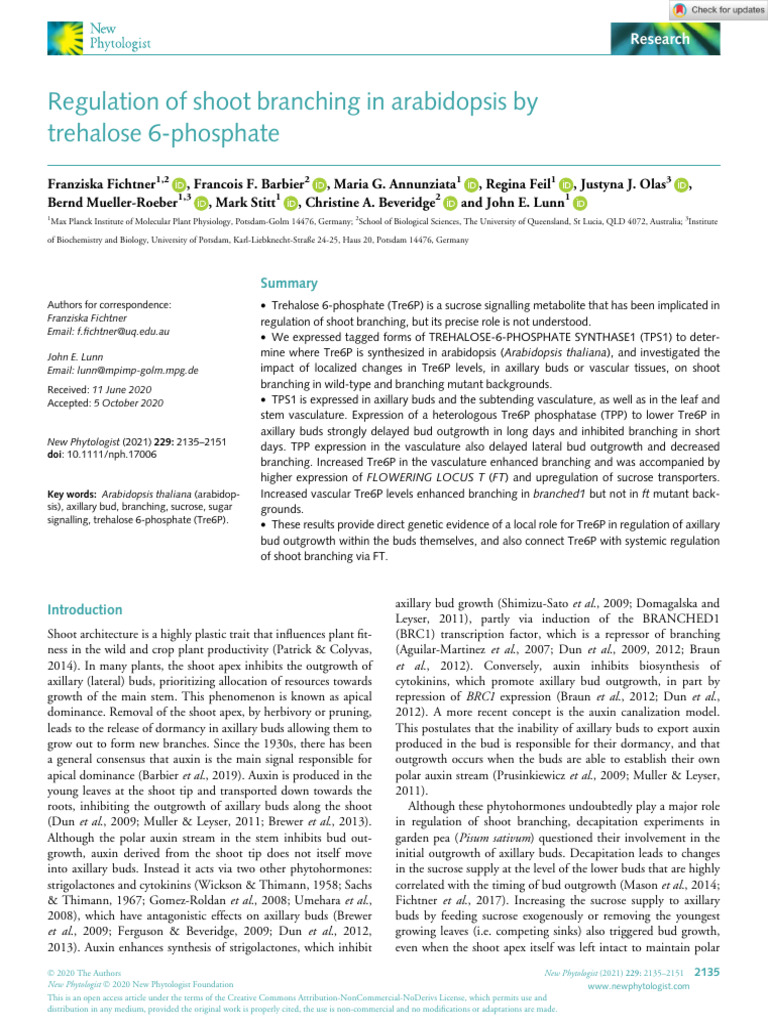 New Phytologist - 2020 - Fichtner - Regulation of Shoot Branching in Arabidopsis by Trehalose 6 ...