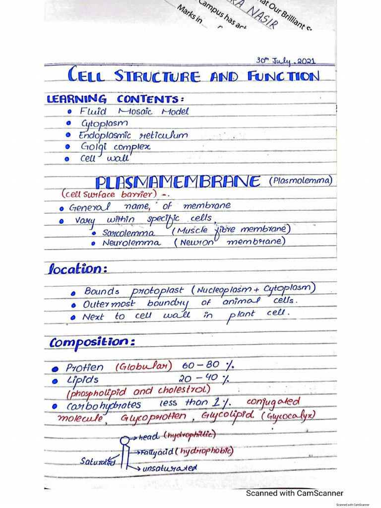 Cell Biology 1 | PDF