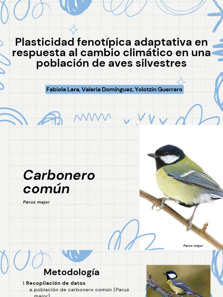 Plasticidad Fenotípica Adaptativa en Respuesta Al Cambio Climático en Un Población de Aves ...