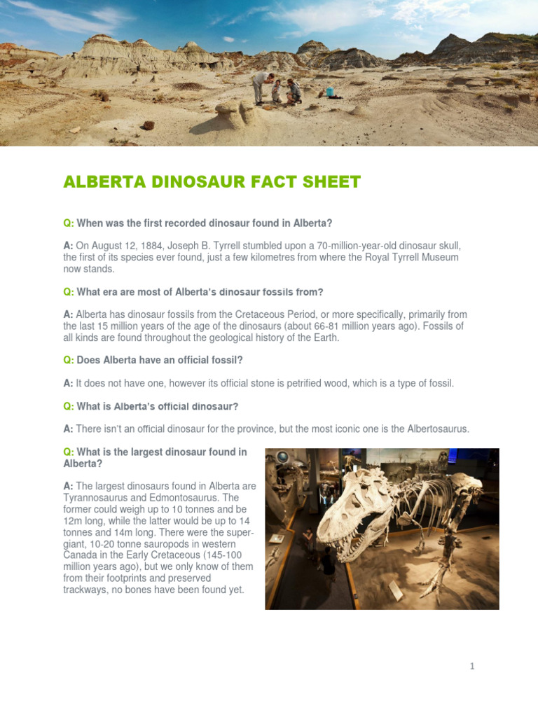 Dino Fact Sheet | PDF | Dinosaurs | Fossil