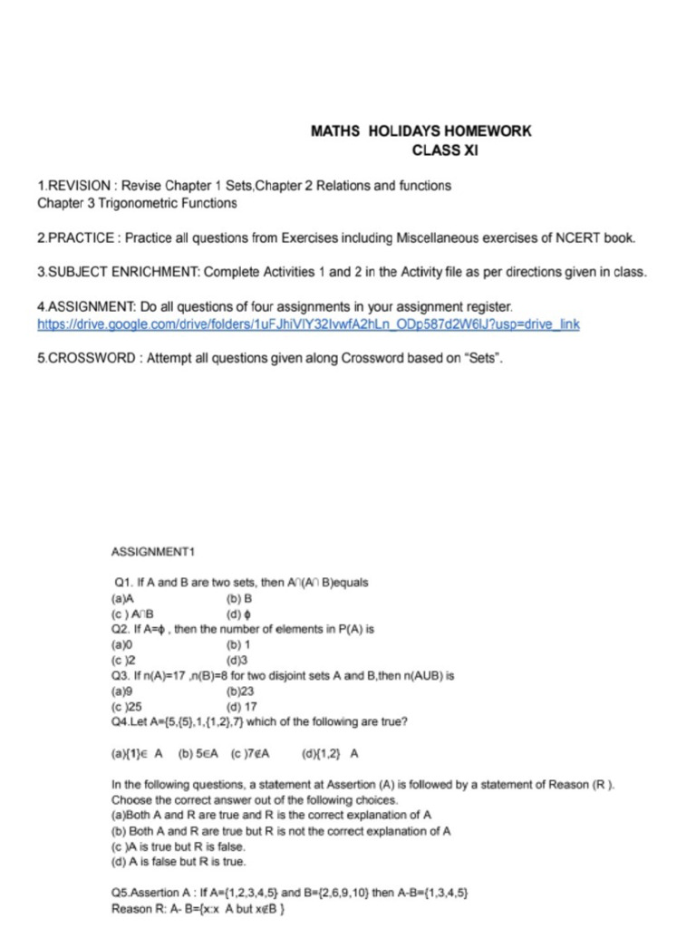 Maths Class Xi Holiday Homework | PDF