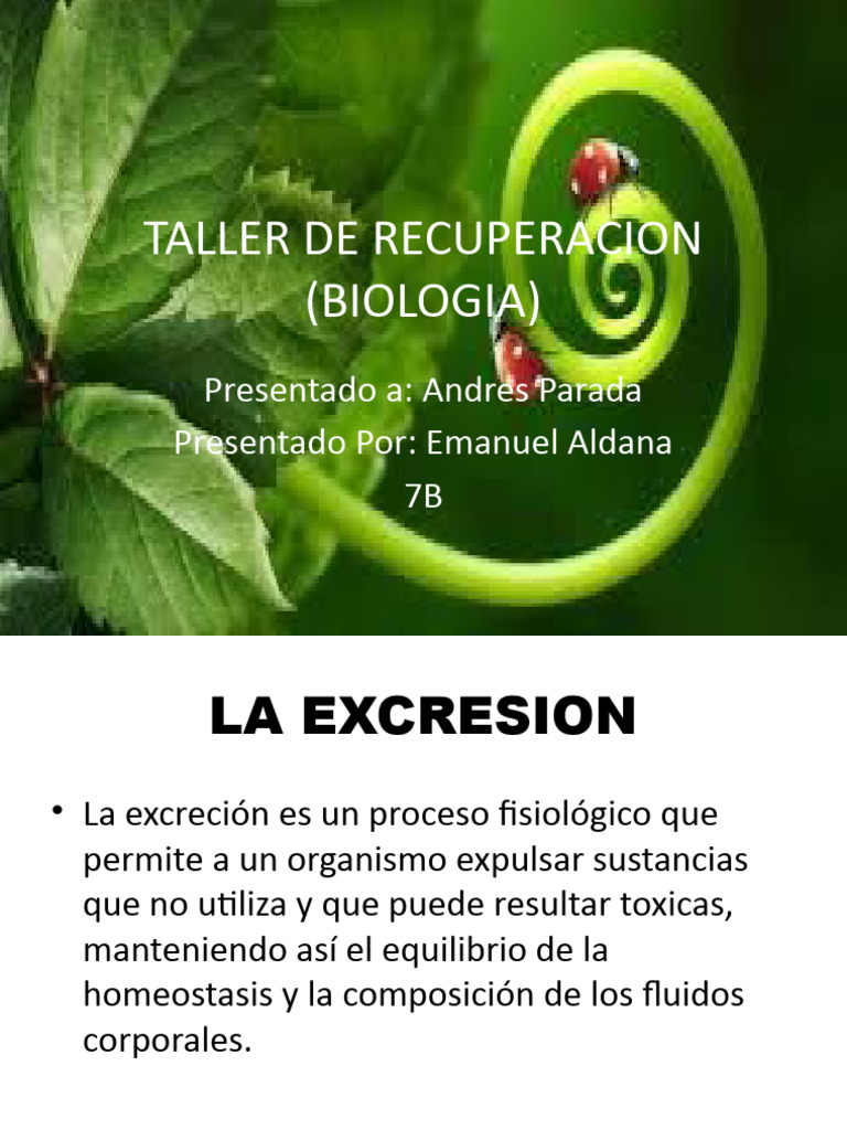 Taller de Recuperacion | PDF