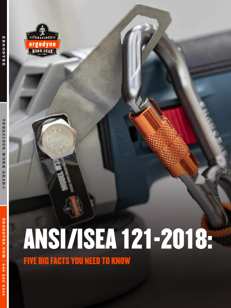 Ansi Isea 121 2018 Five Big Facts You Need To Know2 | PDF | Safety ...