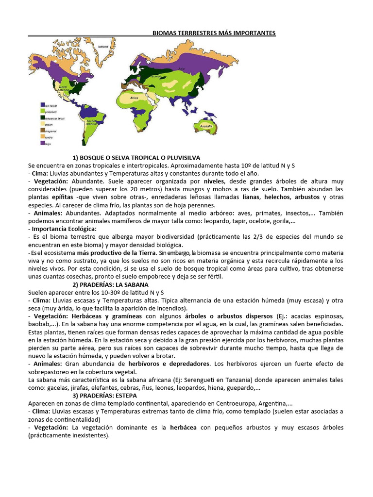 Biomas Terrrestres Mã S Importantes | PDF | Selva | Sabana