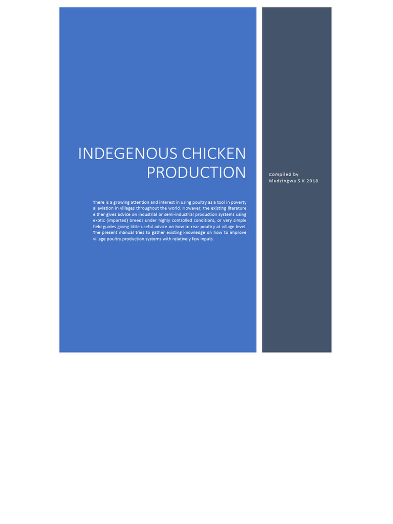 Indigenous Chicken Farming Insights | PDF | Chicken | Poultry Farming
