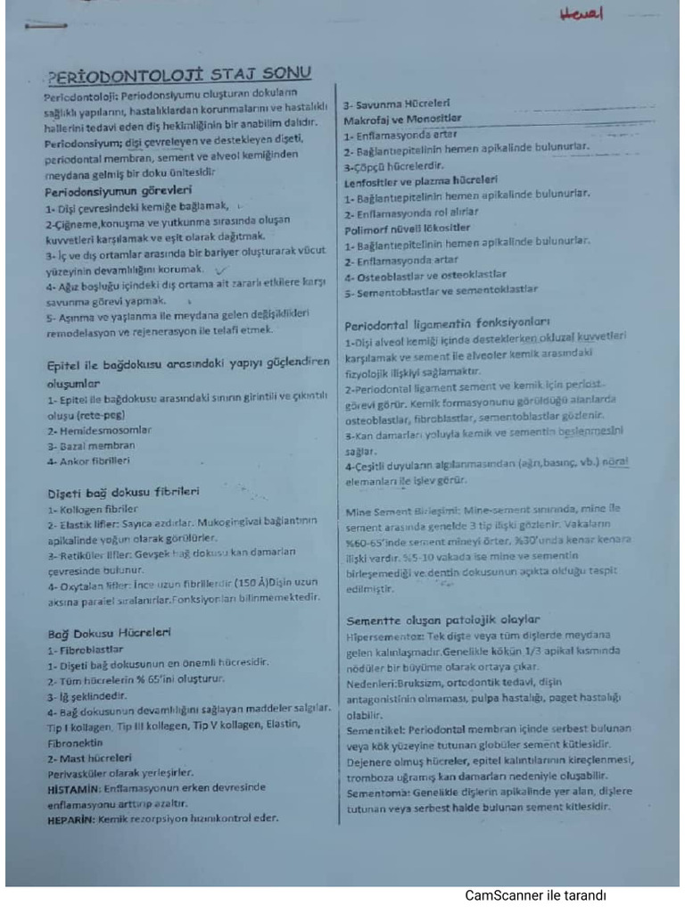 Staj Sonu Notu | PDF