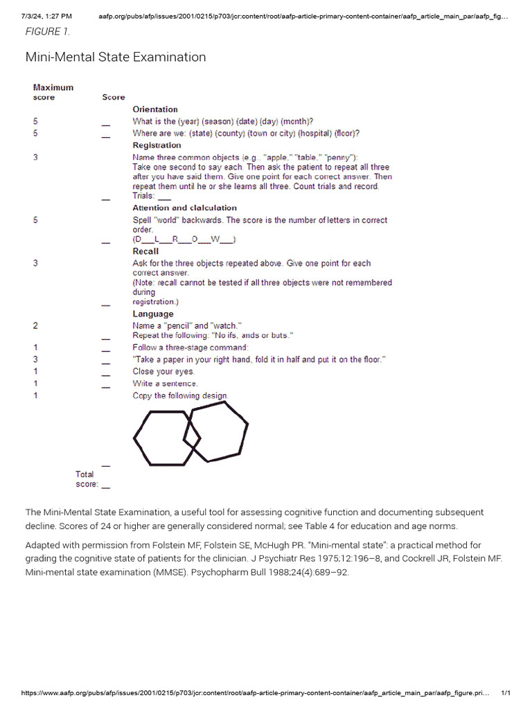 Mini Mental | PDF