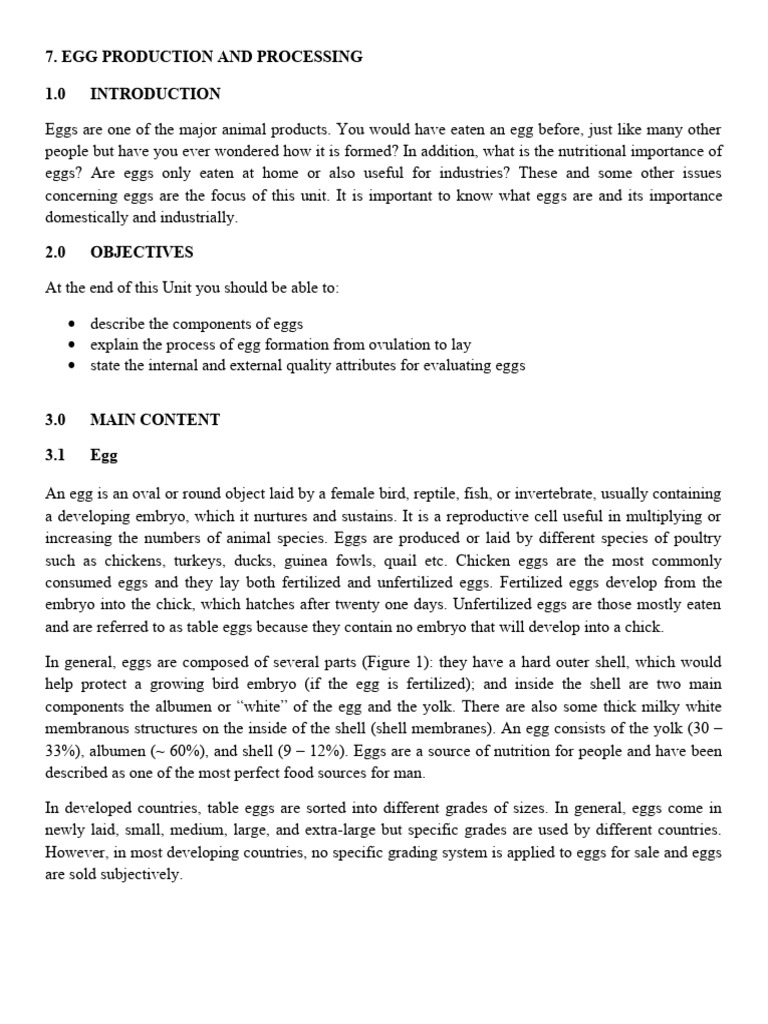 Egg Production and Processing | PDF | Yolk | Egg