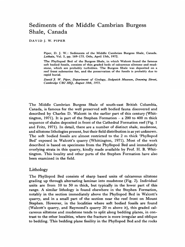 Middle Cambrian Burgess Shale Sediments | PDF | Geology | Sedimentology