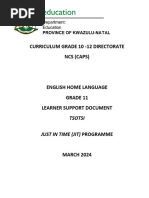 Grade 11 Tsotsi Notes | PDF