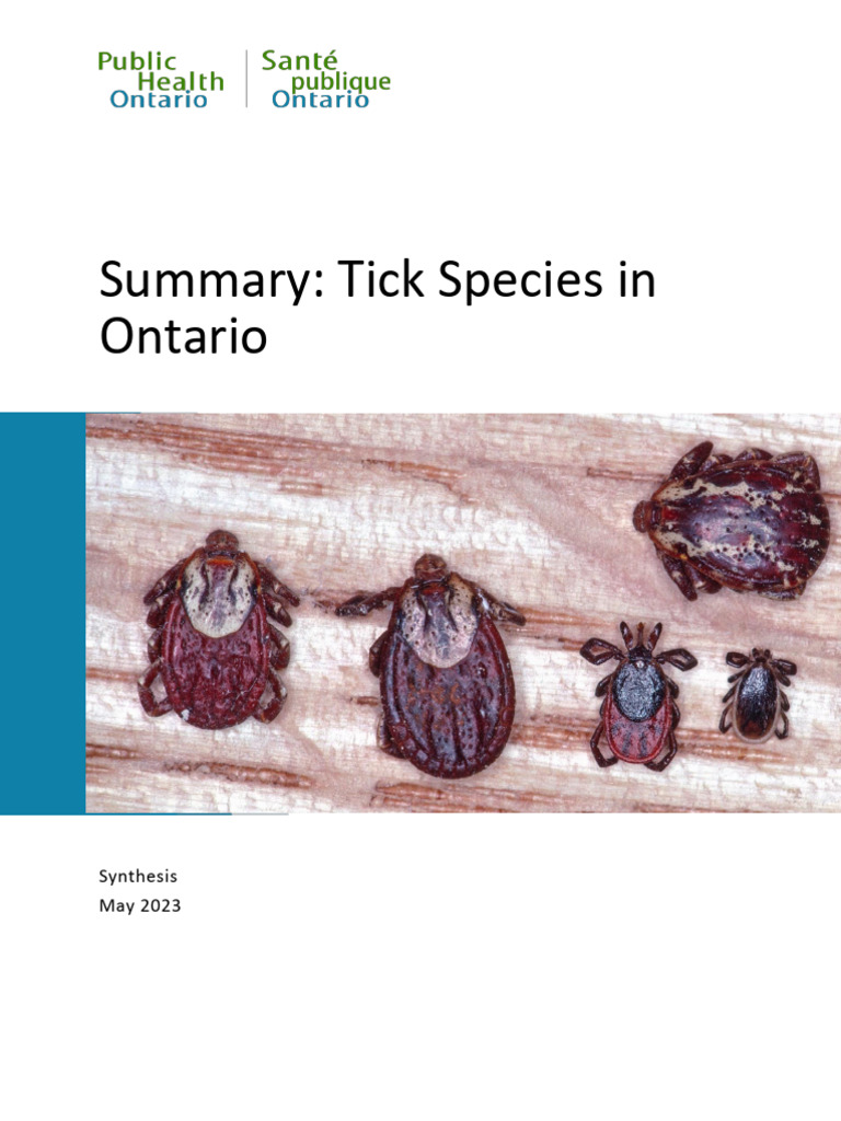 Tick Species Ontario Lyme | PDF
