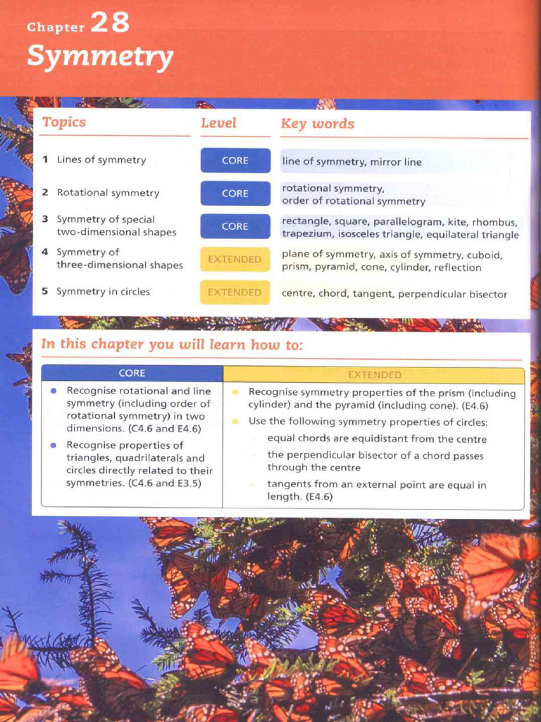 Chapter 28 Symmetry | PDF