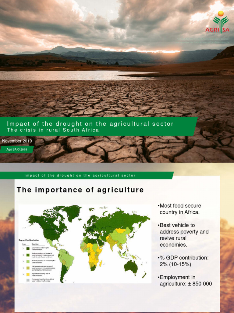 Impact of The Drought On The Agricultural Sector v3 | PDF | Drought ...