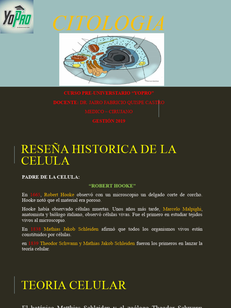Tema 2 - Citologia | PDF | Citoplasma | Biología Celular)