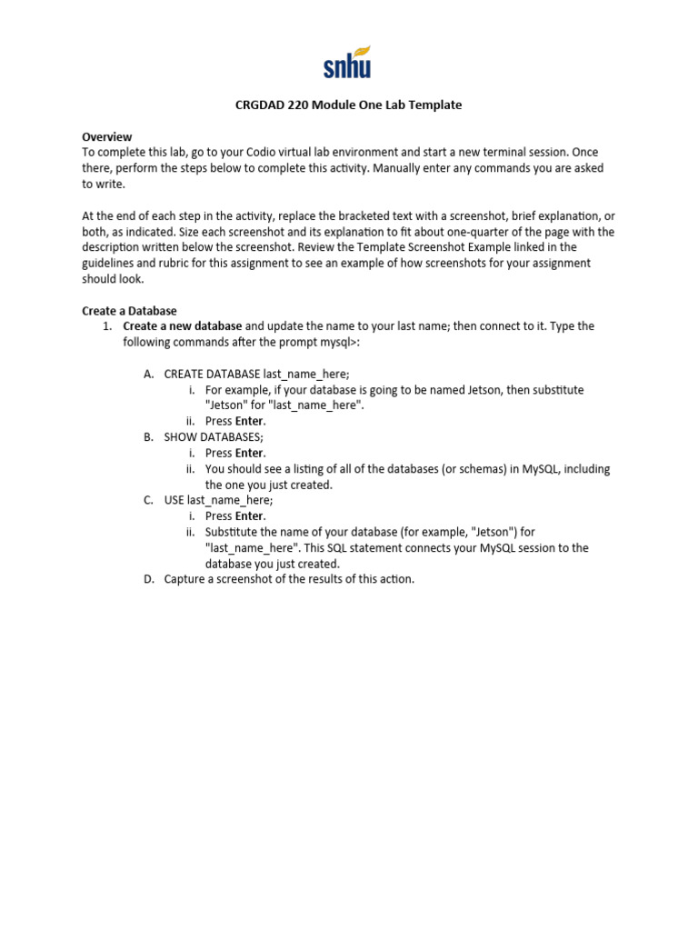 DAD 220 Module One Lab Instructions | PDF | Databases | Computer ...