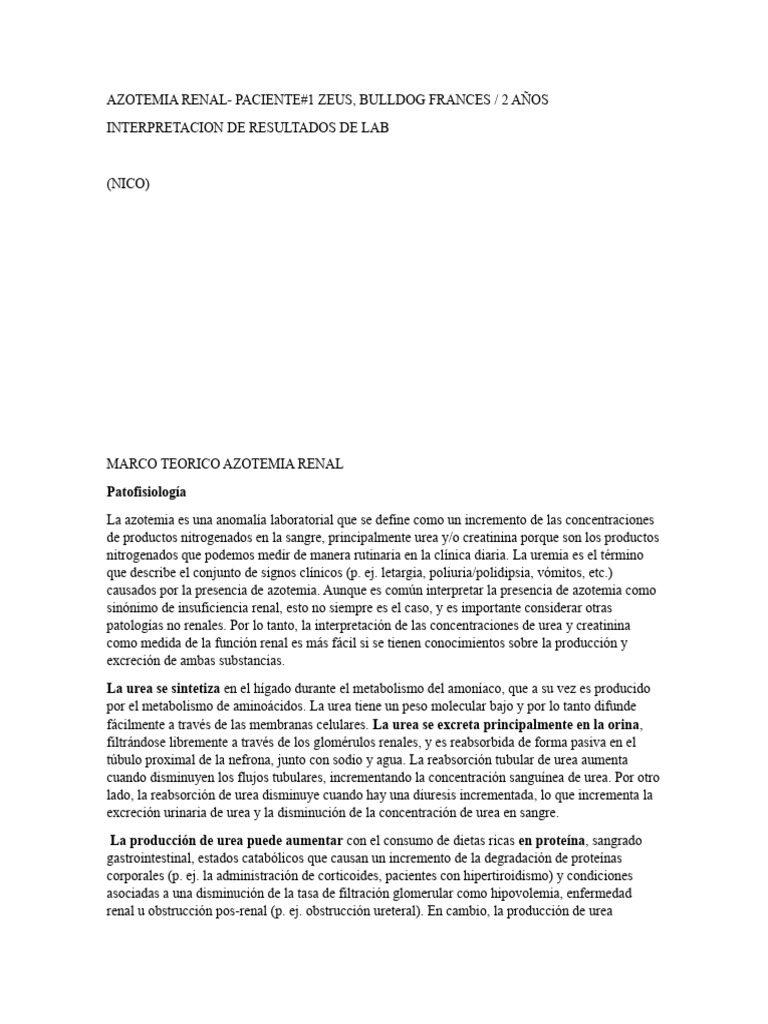 Azotemia Renal | PDF | Sistema urinario | Riñón