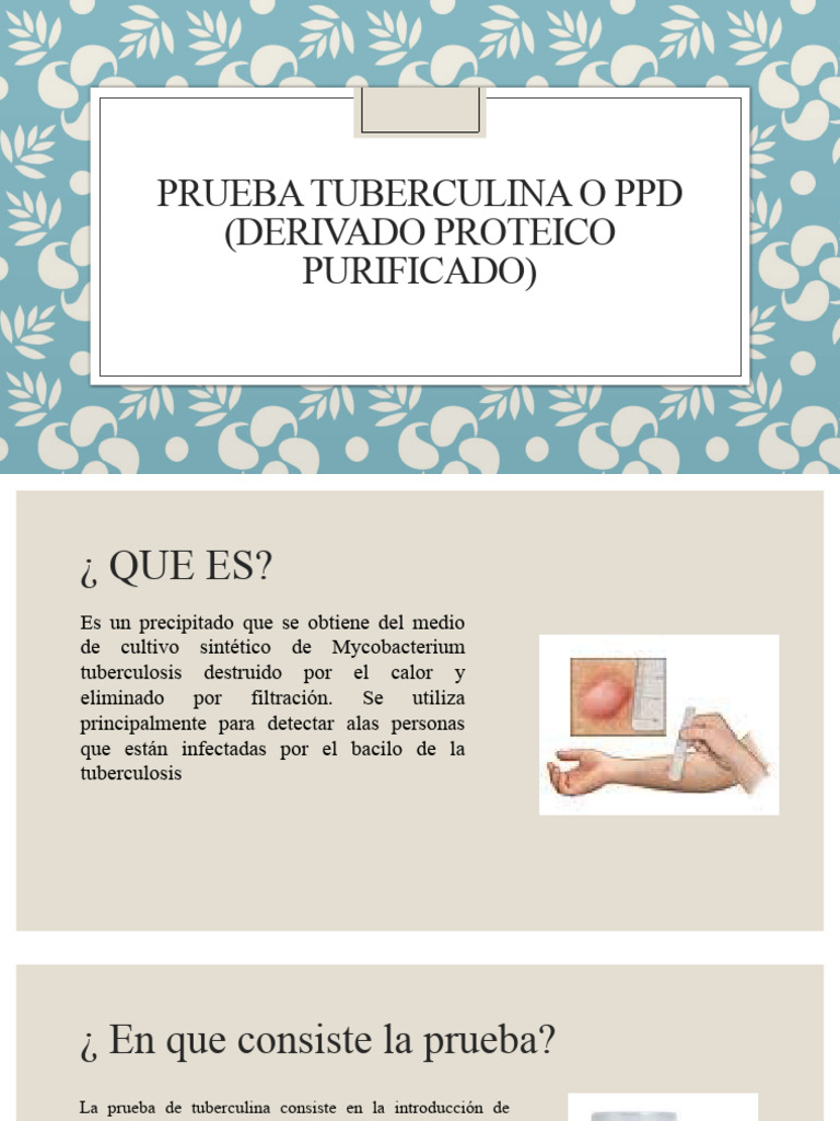 Prueba Tuberculina o PPD | PDF | Tuberculosis | Mycobacterium