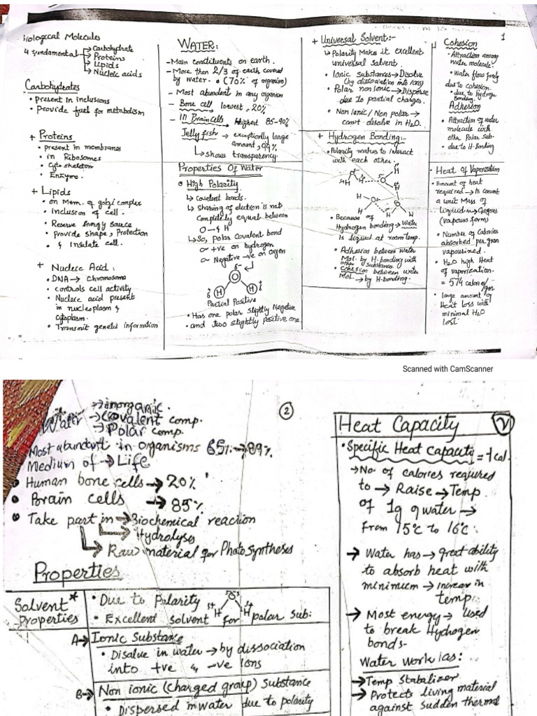 Biology 1st Year Ma'Am Sameera | PDF