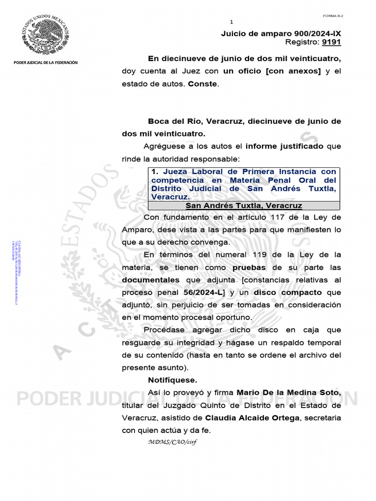 Informe Justificado | PDF | Gobierno | Ley constitucional