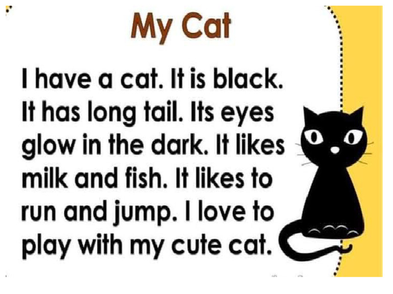 My Cat | PDF