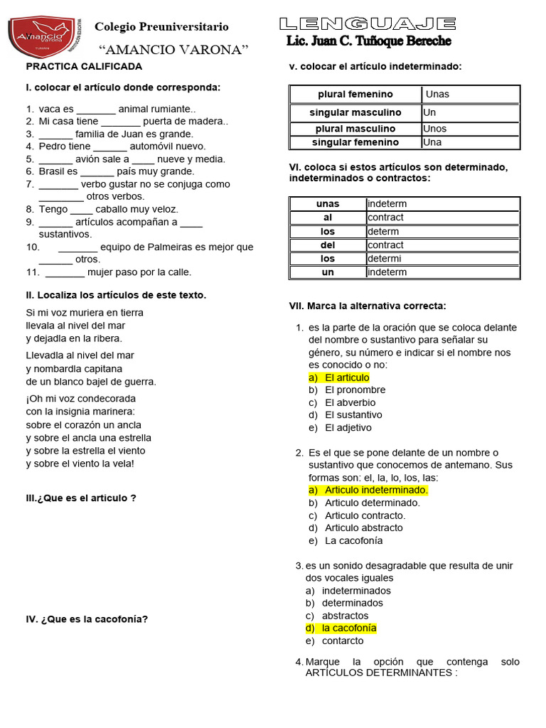 ARTICULO 2DO Y 3ERO | PDF | Sustantivo | Plural
