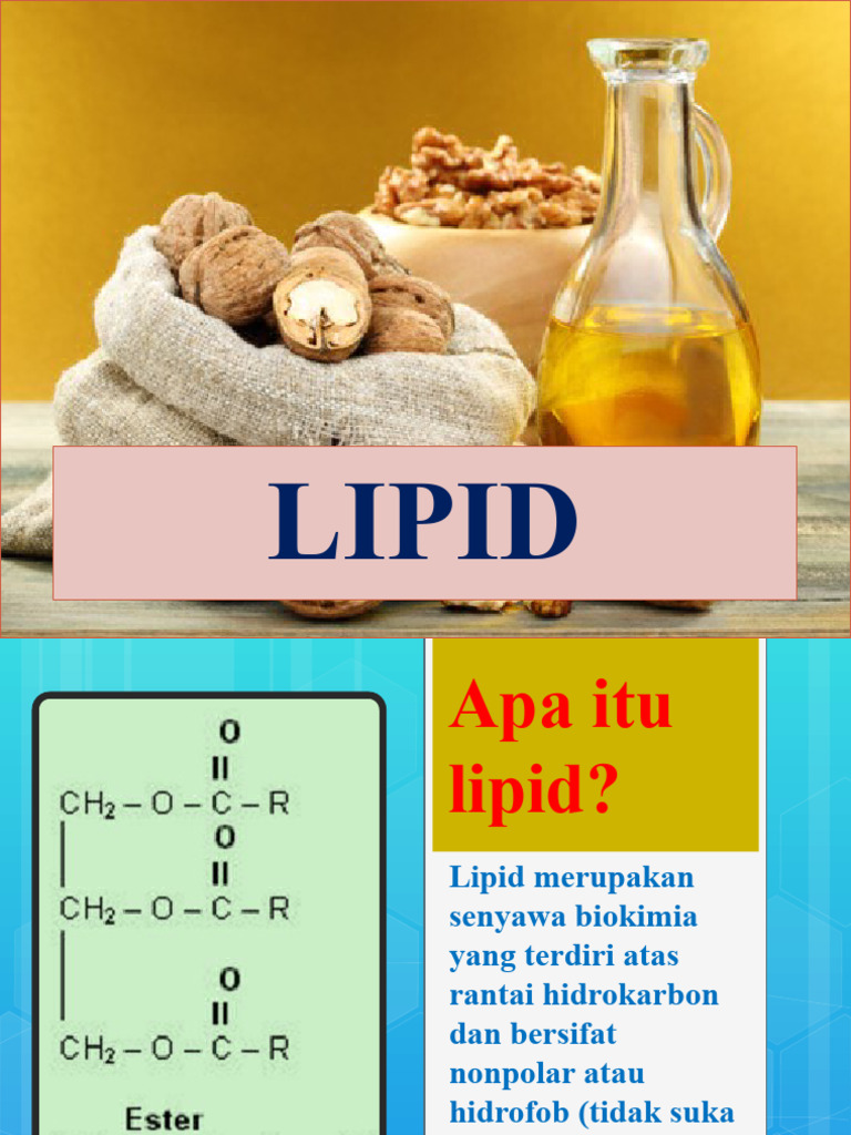 Lipid: Struktur, Jenis, dan Fungsinya | PDF | Memasak, Makanan ...