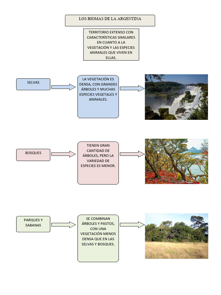Biomas de Argentina | PDF | Selva | Sabana