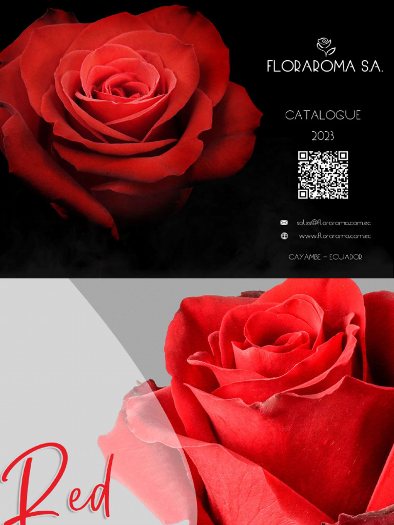 Floraroma Catalogo 2023 | PDF