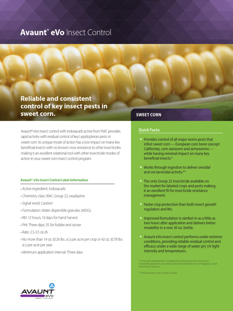 20-FMC-1161 Avaunt Evo Sweet Corn Fact Sheet - 061820 - VF | PDF | Pest ...