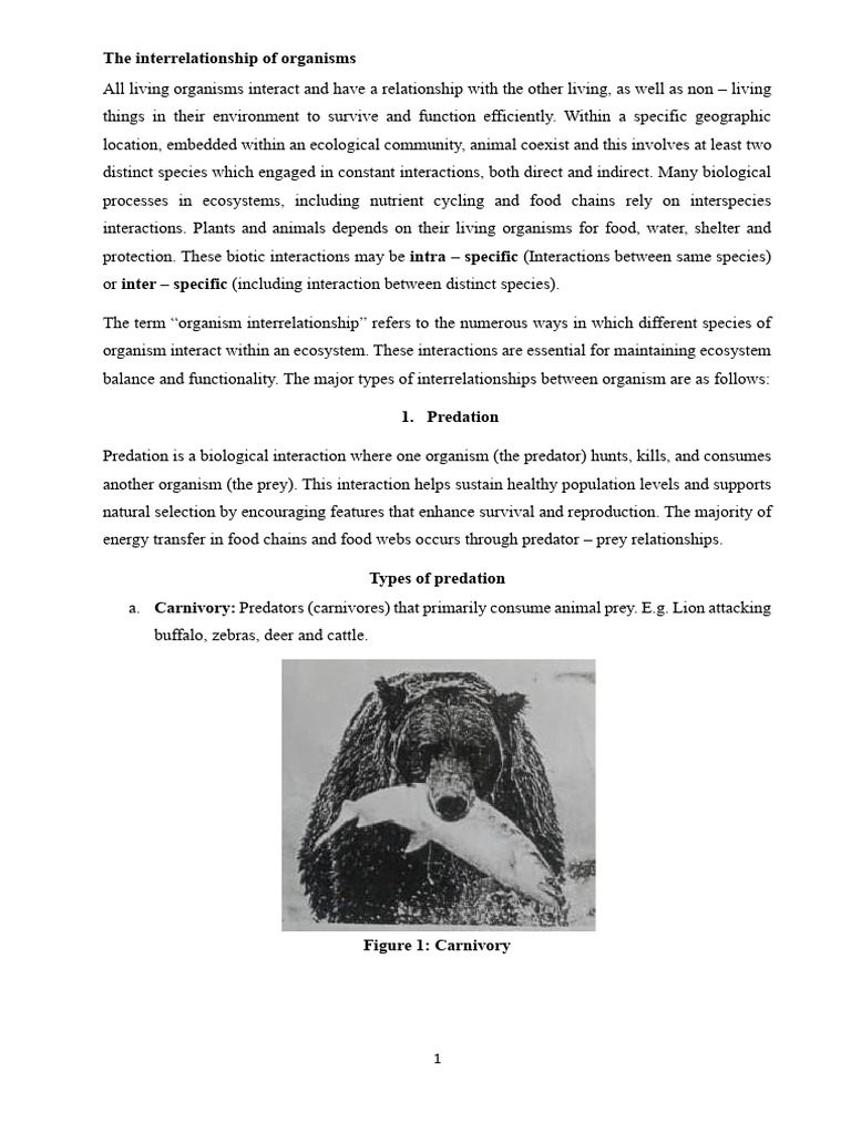 bio-100-level-pdf-symbiosis-predation