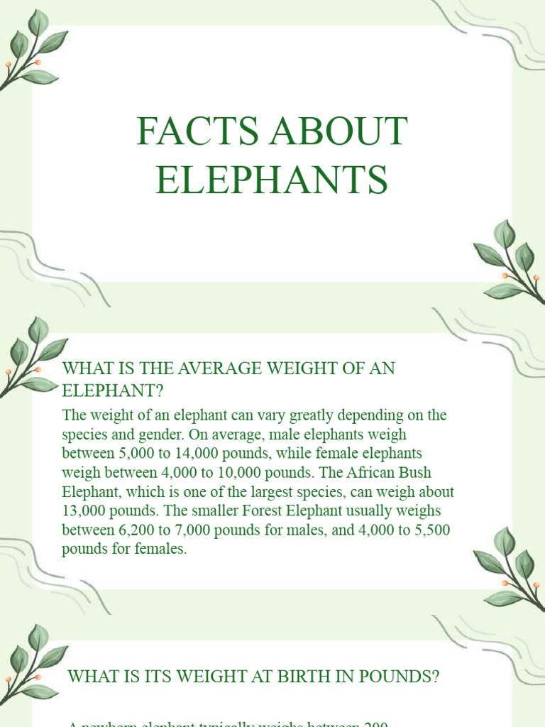 Elephants | PDF | Elephant | Pound (Mass)