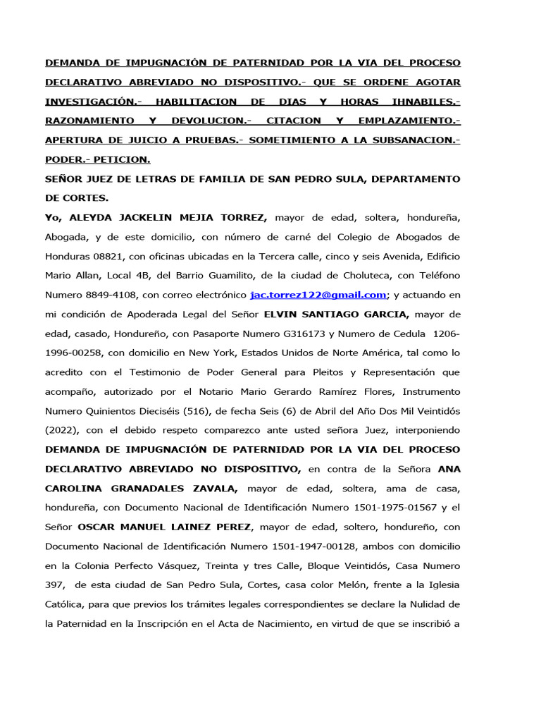 Impug - Paternidad Lomas Nuevo Codigo Ivette | PDF | Documento de identidad | Demanda judicial