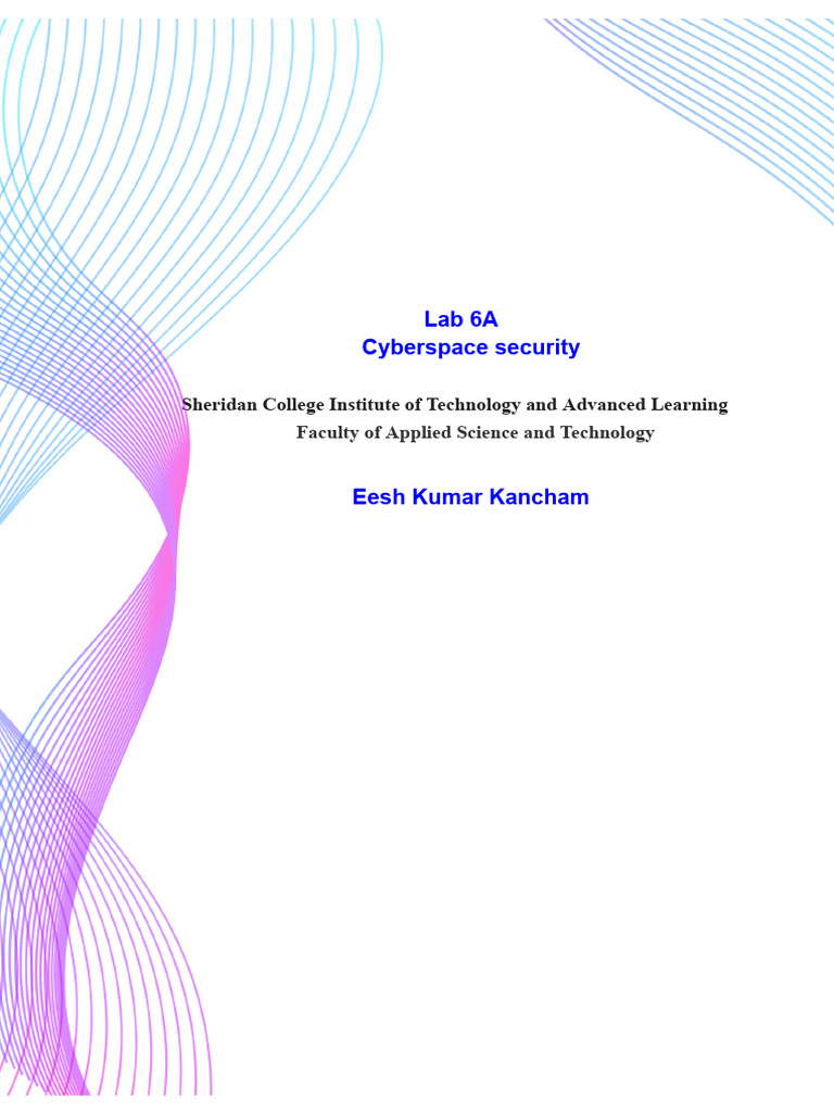 Lab 6A | PDF | Security | Computer Security